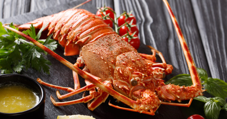 Homard ou langouste : Tout savoir de leurs différences | Le Baligan