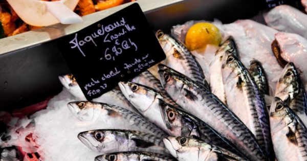 Les poissons gras : tout ce qu'il faut savoir | Le Baligan
